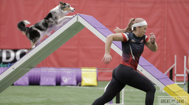 Why Grace Heck Believes Every Dog Should Try Agility - Back on Track USA