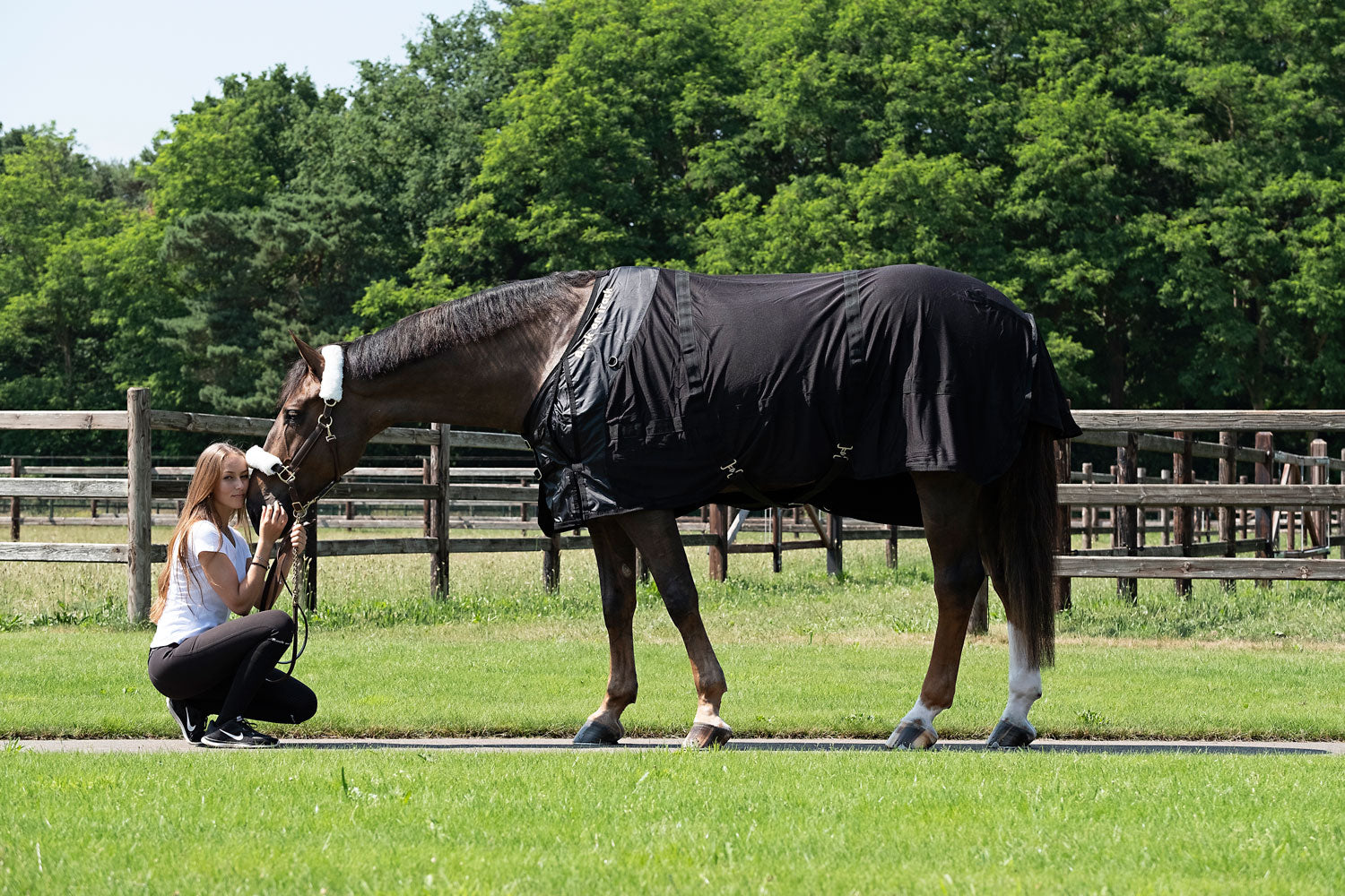 How You Can Help Your Horse Recover From Injury - Back on Track USA