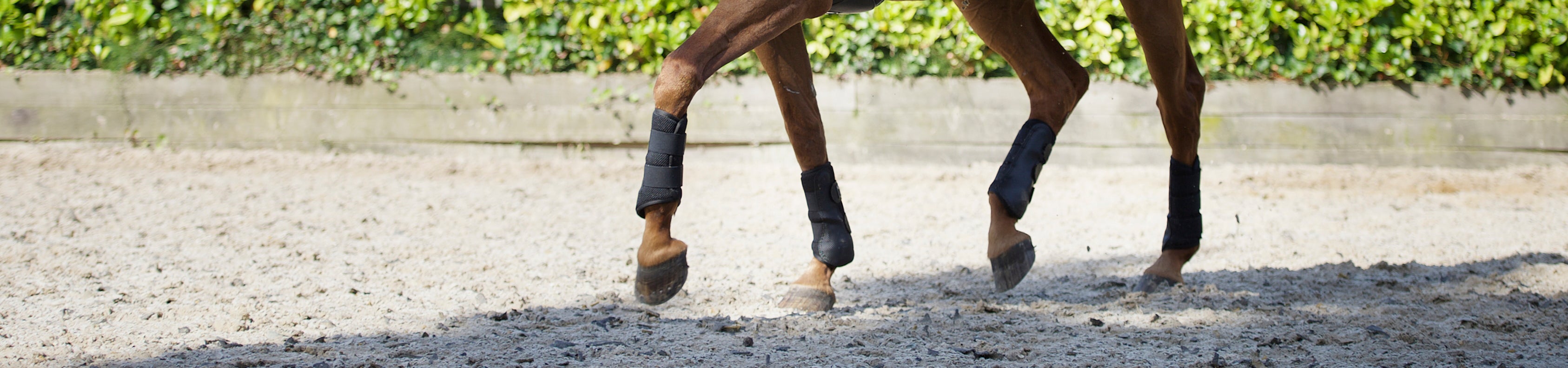 Splint Boots - Back on Track USA